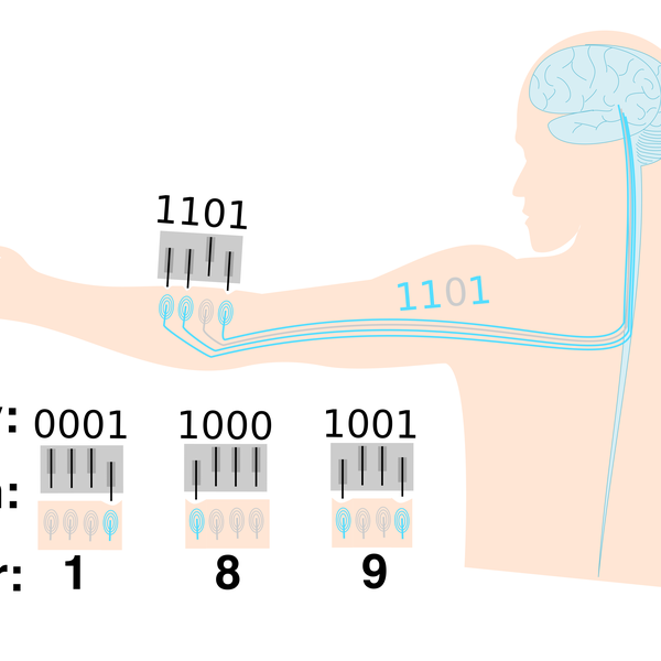 Haptic Input | Hackaday.io