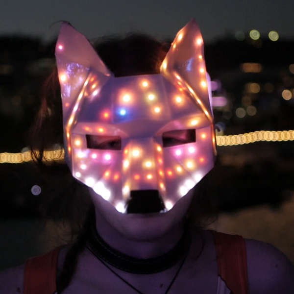 Vulpine Visage | Hackaday.io