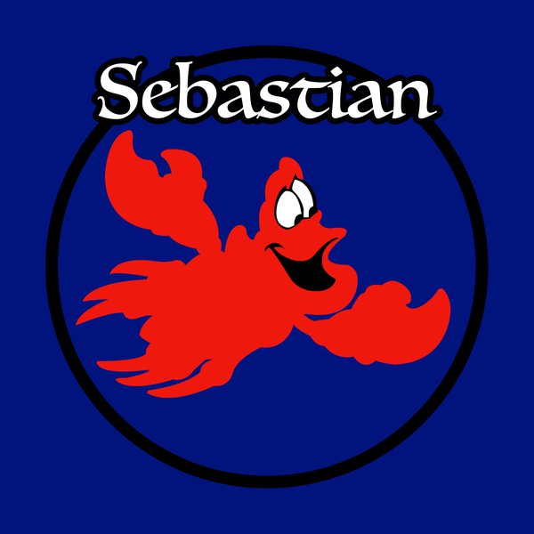 Sebastian Rocket | Hackaday.io