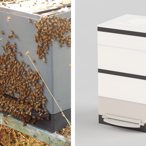 Nectar Nest - The First True 3D Hive for Honey Pro | Hackaday.io