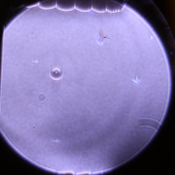 Visualize Sound-001: TinyLev & Schlieren Method | Hackaday.io