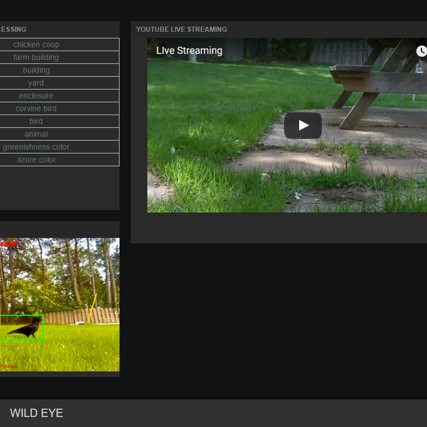 Wild Eye | Hackaday.io