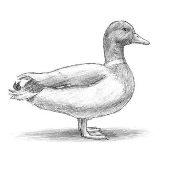 Eric Smith's Profile | Hackaday.io