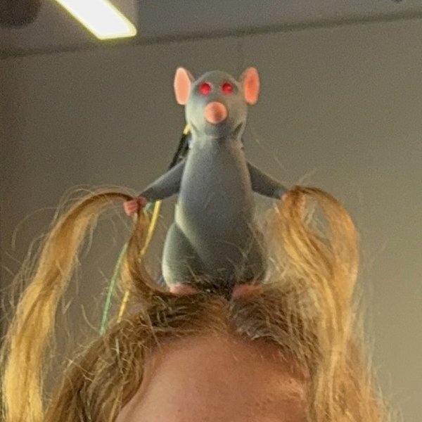 Remy the Rat | Hackaday.io