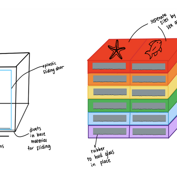 Sediment Petri Dish Setup | Hackaday.io
