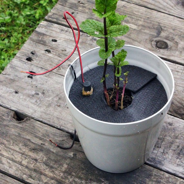 Power Flower Pot: plants, electricity, and light | Hackaday.io