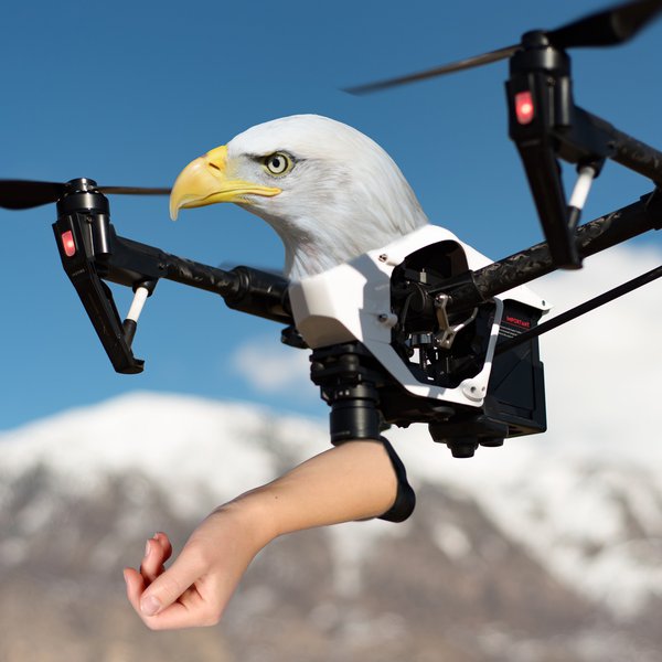 Eagle Grip | Hackaday.io