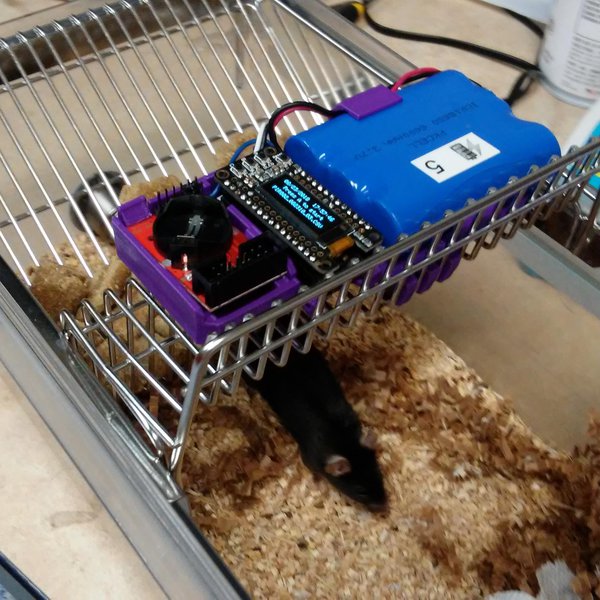 RAD (Rodent Activity Detector) | Hackaday.io