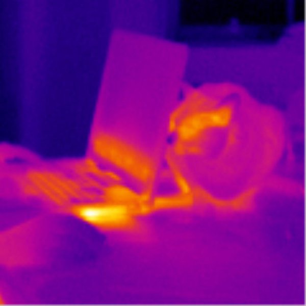 Cats and Computers | Hackaday.io