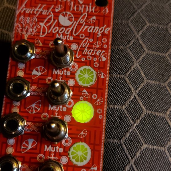 Fruitful Blood Orange Chaser | Hackaday.io