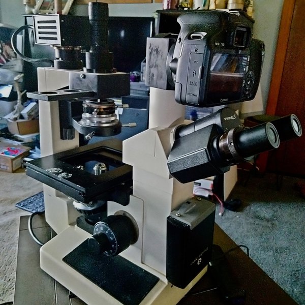 Inverted microscope fiber optic lighting adapter | Hackaday.io