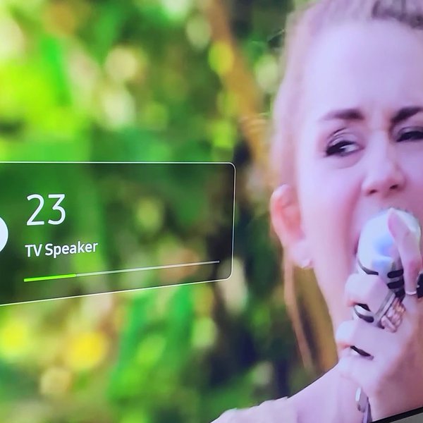 Offline and Hybrid Voice Control for HomeAssistant | Hackaday.io