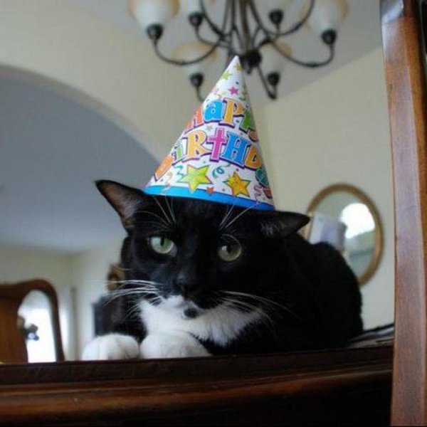 Daniel's Profile | Hackaday.io