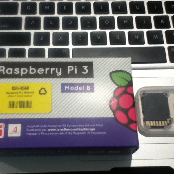 Wreck it Ralph Raspberry Pi project. | Hackaday.io