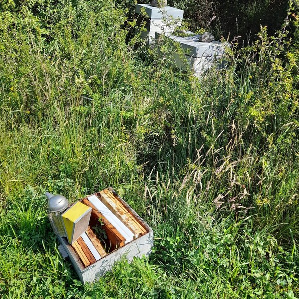 Beehive Monitoring and Tracking | Hackaday.io