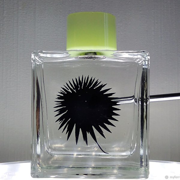 DANCING BLOT | Hackaday.io