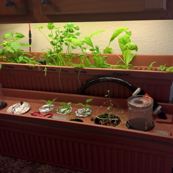 Modern Herb Garden | Hackaday.io