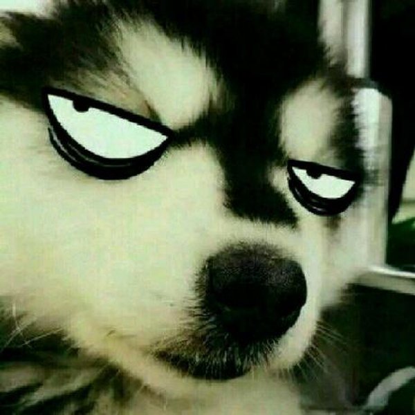 haikinkcl's Profile | Hackaday.io