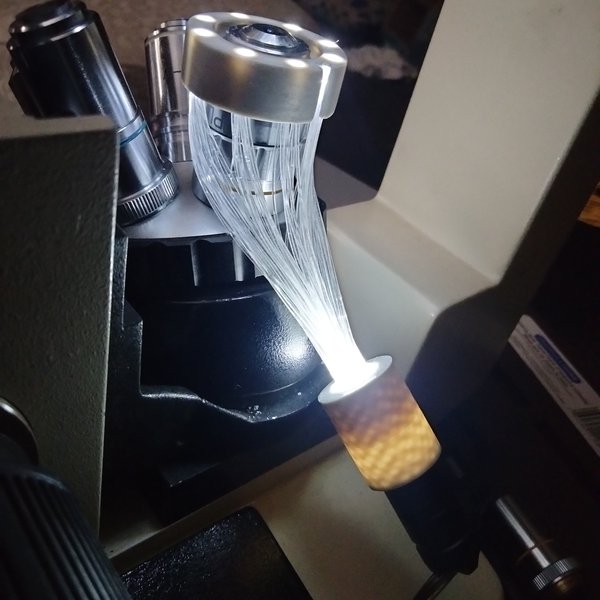 Inverted microscope fiber optic lighting adapter | Hackaday.io