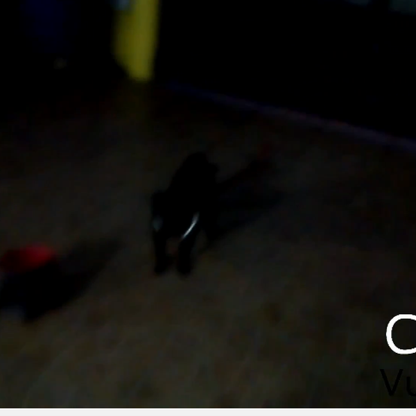 Lazaro RV | Hackaday.io