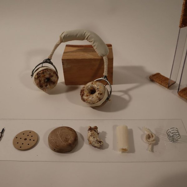 Fungi sound | Hackaday.io