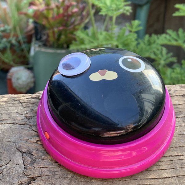 Positivity Pusher | infinite affirmation generator | Hackaday.io