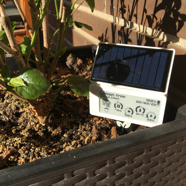 Smart Plant | Hackaday.io
