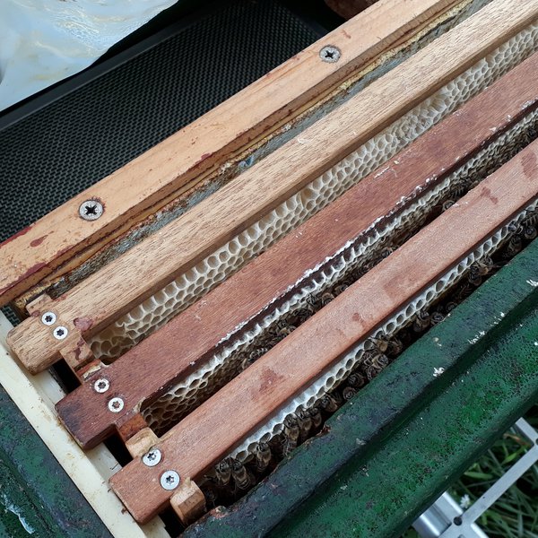 µPower (beehive) SD logger | Hackaday.io