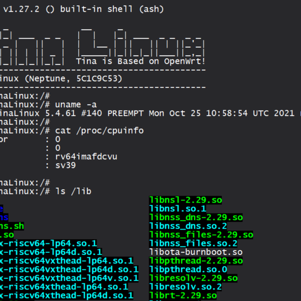The Cheapest RISC-V 64 Computer (by Now) | Hackaday.io
