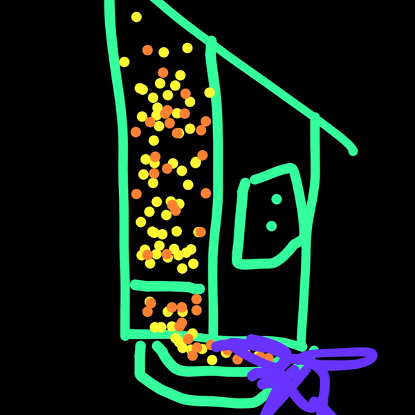 Bird Feeder Cam | Hackaday.io