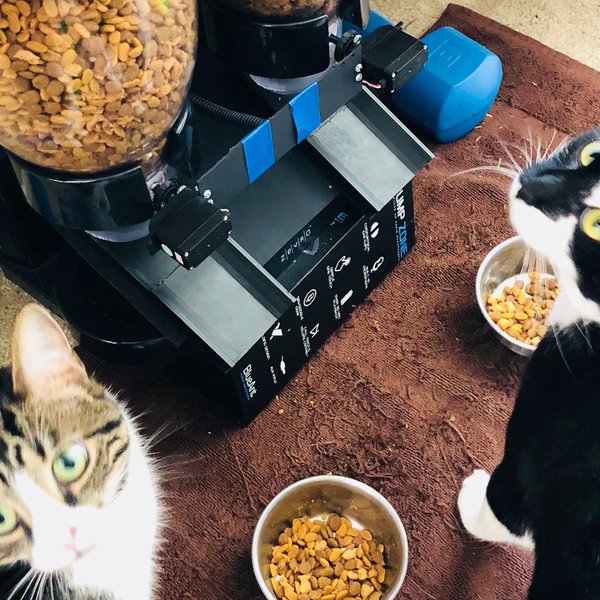 Automated Cat Food Dispenser | Hackaday.io