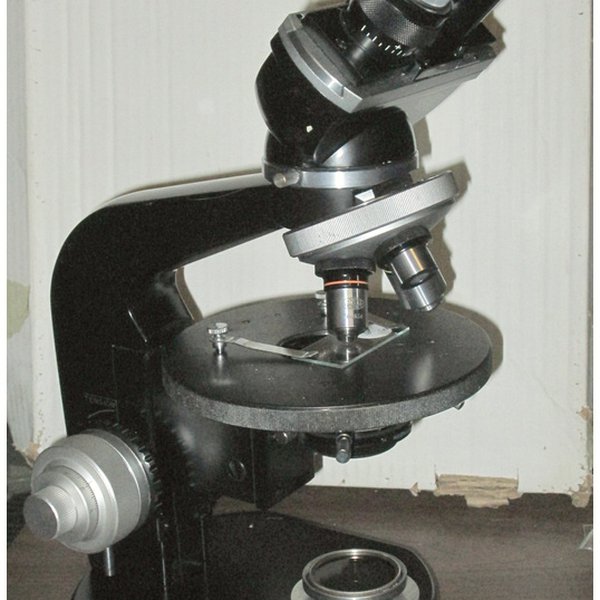 Simple Nikon microscope light source upgrade. | Hackaday.io