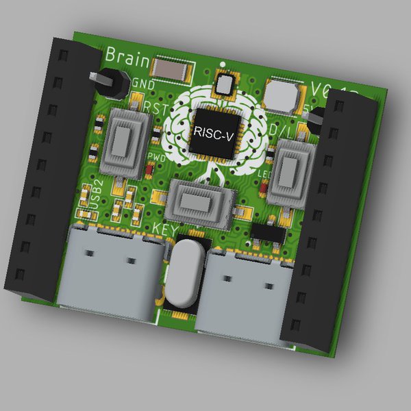RISC-V BRAIN | Hackaday.io