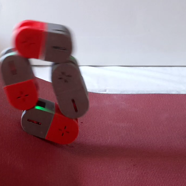 Dtto - Explorer Modular Robot | Hackaday.io