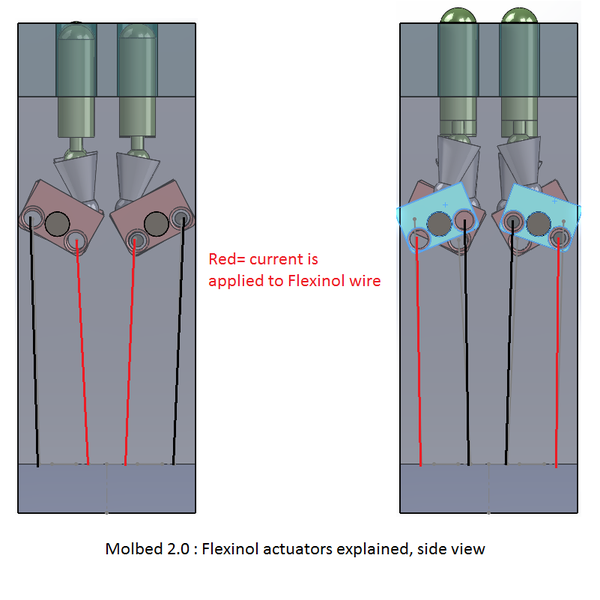 MOLBED 2 Modular Low cost Braille Electro Display | Hackaday.io