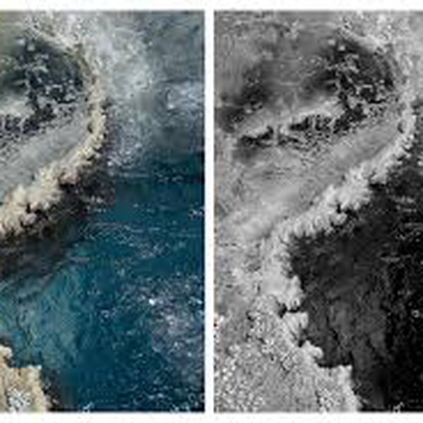 Motion Sensor And Video Filter System Using Fpga