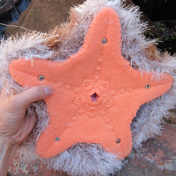 Starfish Cat: Your Lovecraftian Furby-like Friend | Hackaday.io