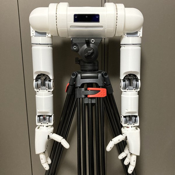 Semi-Humanoid Robot "Nyro" | Hackaday.io
