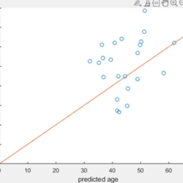 Deep Learning Brain Age Estimation | Hackaday.io