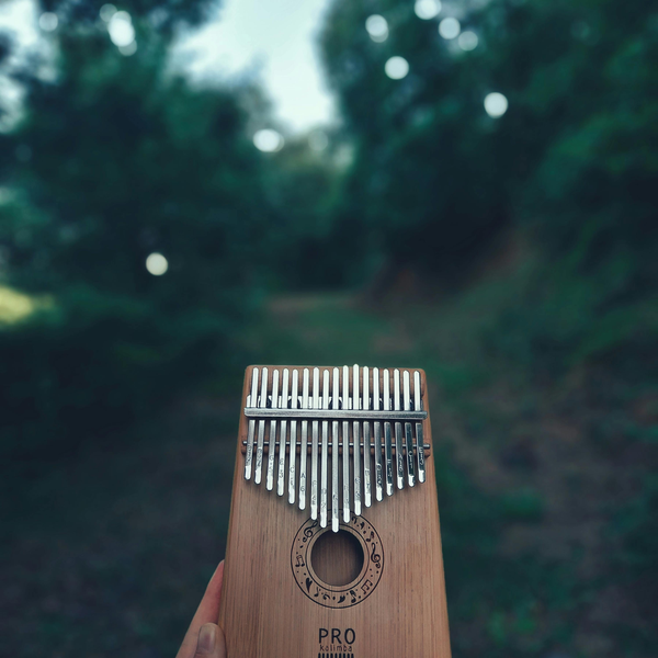 Automated Kalimba Project | Hackaday.io