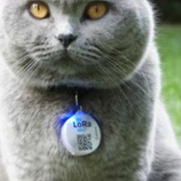 Gerhard Peter's Profile | Hackaday.io