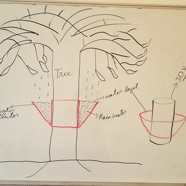 የእኔ ዛፍ- my tree | Hackaday.io