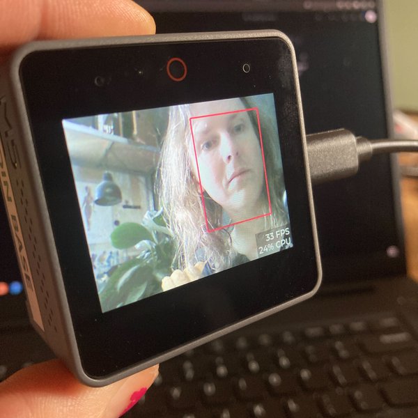 Running a PyTorch Model on the ESP32 S3 | Hackaday.io