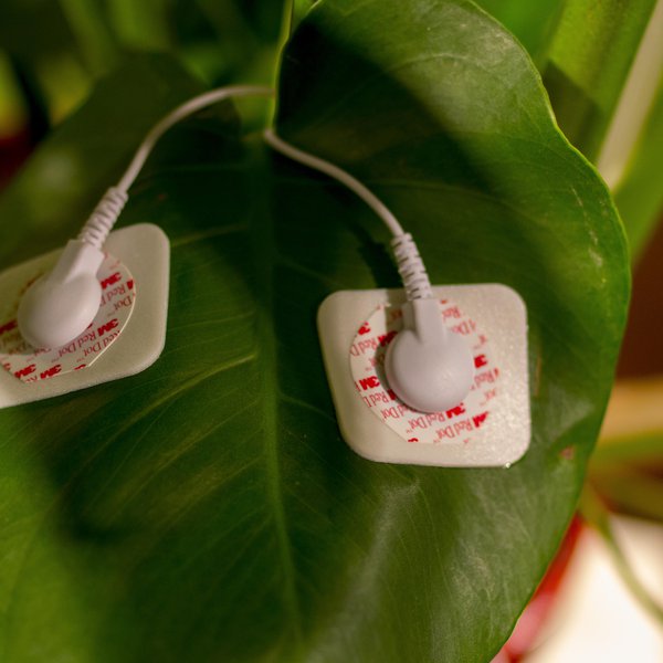 Biodata Sonification v05 | Hackaday.io