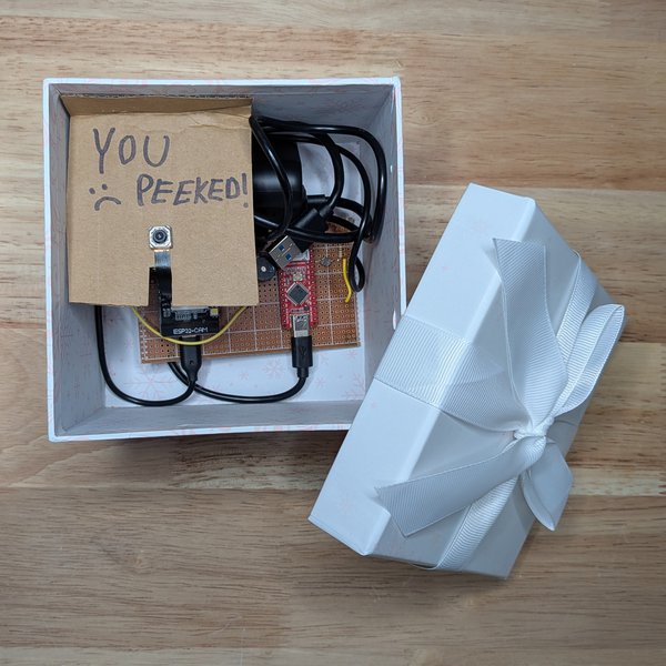 Present Peeker Trap | Hackaday.io