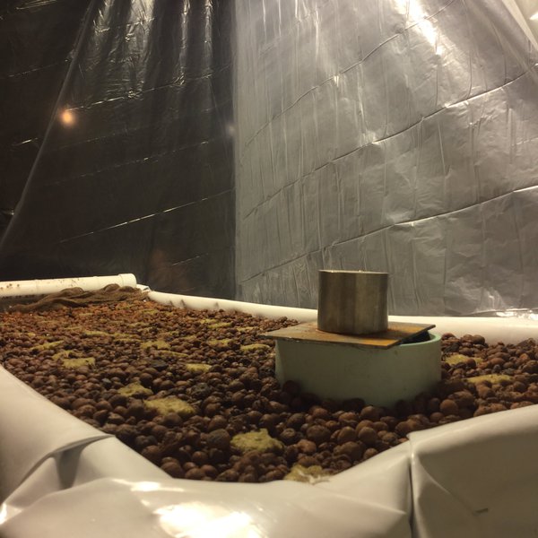 Smart Aquaponics System | Hackaday.io