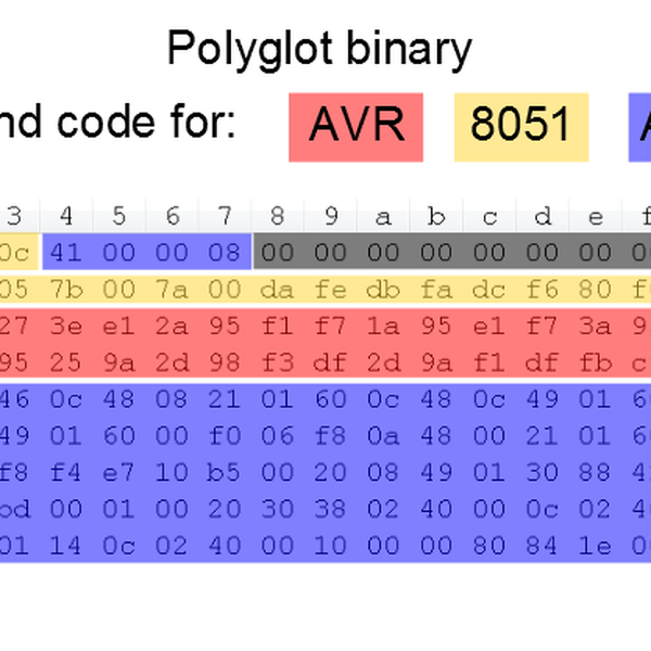 Polyglot One Binary Multiple Architectures
