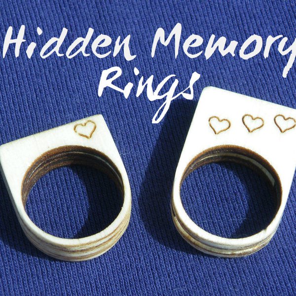 Hidden Memory Rings | Hackaday.io
