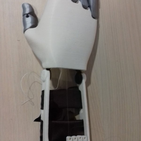 Economic Prosthetic Hand | Hackaday.io