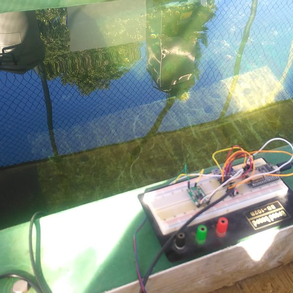 PH & Temperature Sensor to monitoring Hydroponics | Hackaday.io